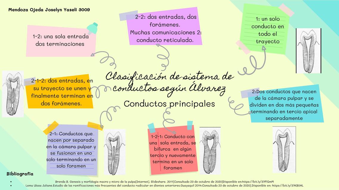 Clasificación de conductos según Alvarez | Estudiante de odontologia ...