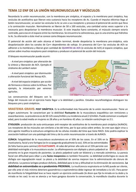 Enfermedad de la unión Neuromuscular y los Músculos
