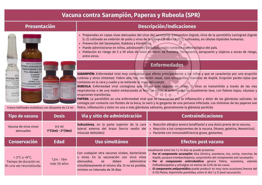 Vacuna contra Sarampión Paperas y Rubeola (SPR) | Srgato | uDocz