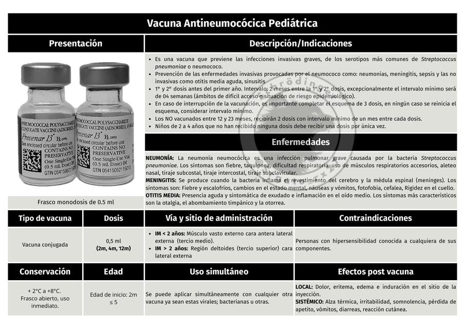 Vacuna Antineumocócica Pediátrica | Piero | uDocz