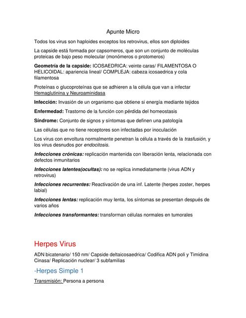 Apunte Micro Autoguardado | Bruno Ramírez Rojas | uDocz