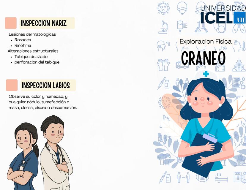 Folleto exploración | Anayeli Rafael Sánchez | uDocz