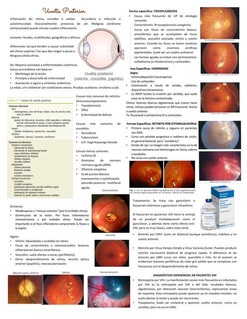 16.- Uveitis posterior | Dasz_rojas | uDocz