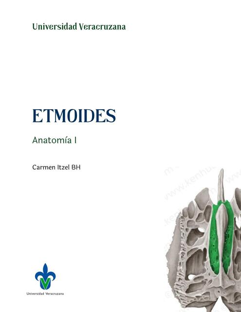 Etmoides resumen Quiroz | Carmen Itzel Bringas ♡ | uDocz