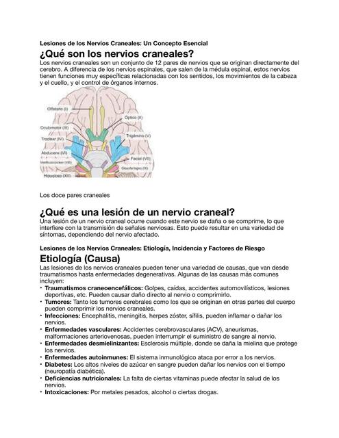 Lesiones de los Nervios Craneales Un Concepto Esen | ANDRYS VELASQUEZ SOTILLO | uDocz