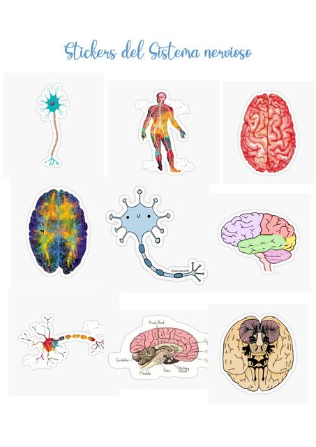 Stickers-Sistema nervioso | apun.tesmedicina | uDocz