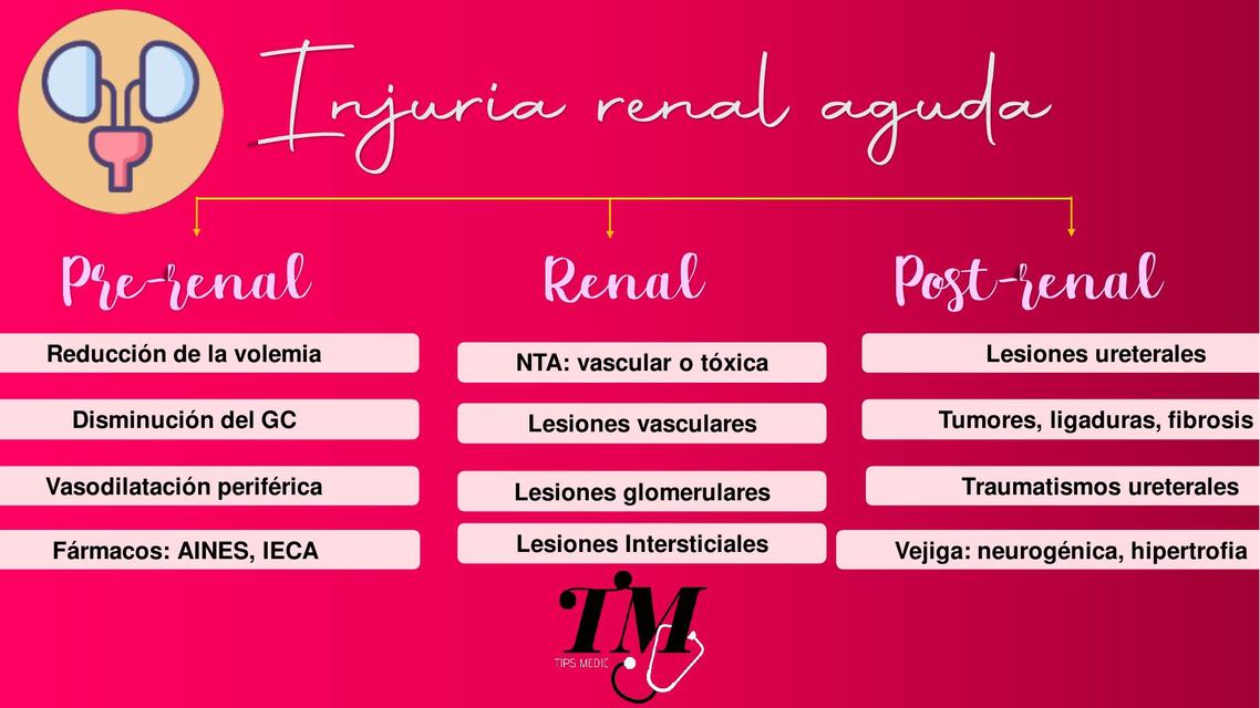 Injuria renal aguda clasificación | Tips Medic | uDocz