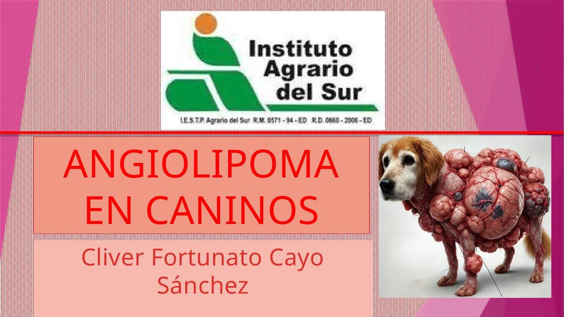 angiolipoma en caninos | Cliver | uDocz
