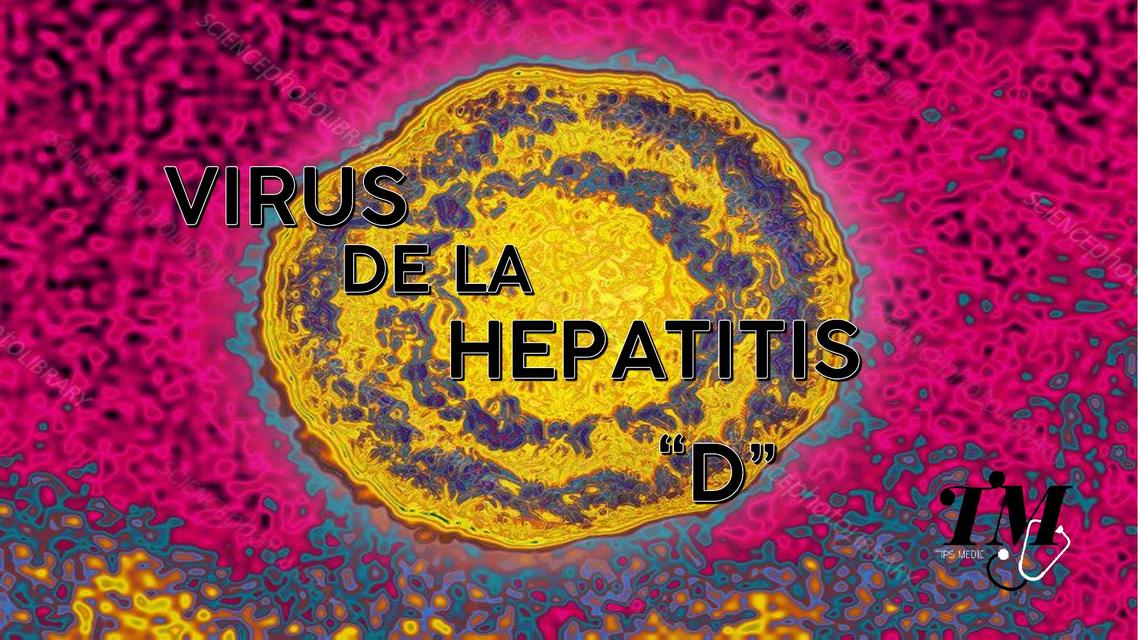 Virus de la hepatitis D | Tips Medic | uDocz