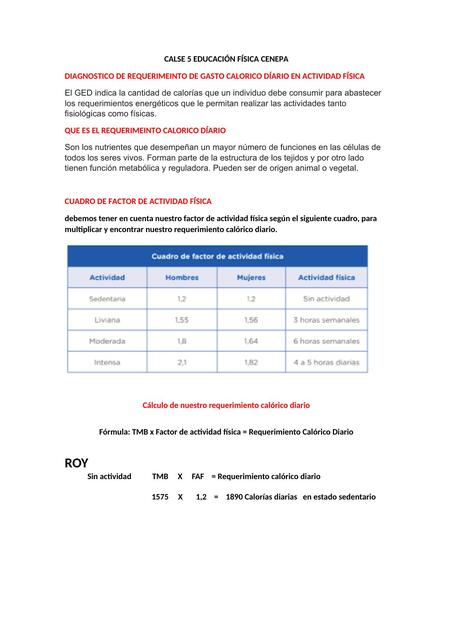 CLASE 5 CENEPA FACTOR DE ACTIVIDAD FISICA Y FUNDAM | Flyp Brigth | uDocz