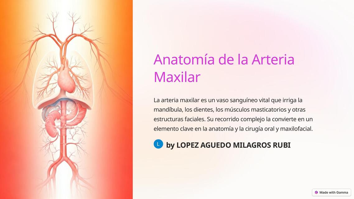 Anatomia de la Arteria Maxilar | LOPEZ AGUEDO | uDocz