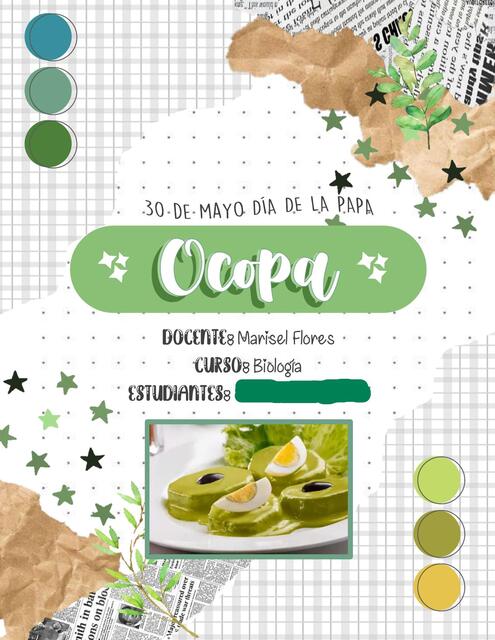 Ocopa | Madame Stupyd | uDocz