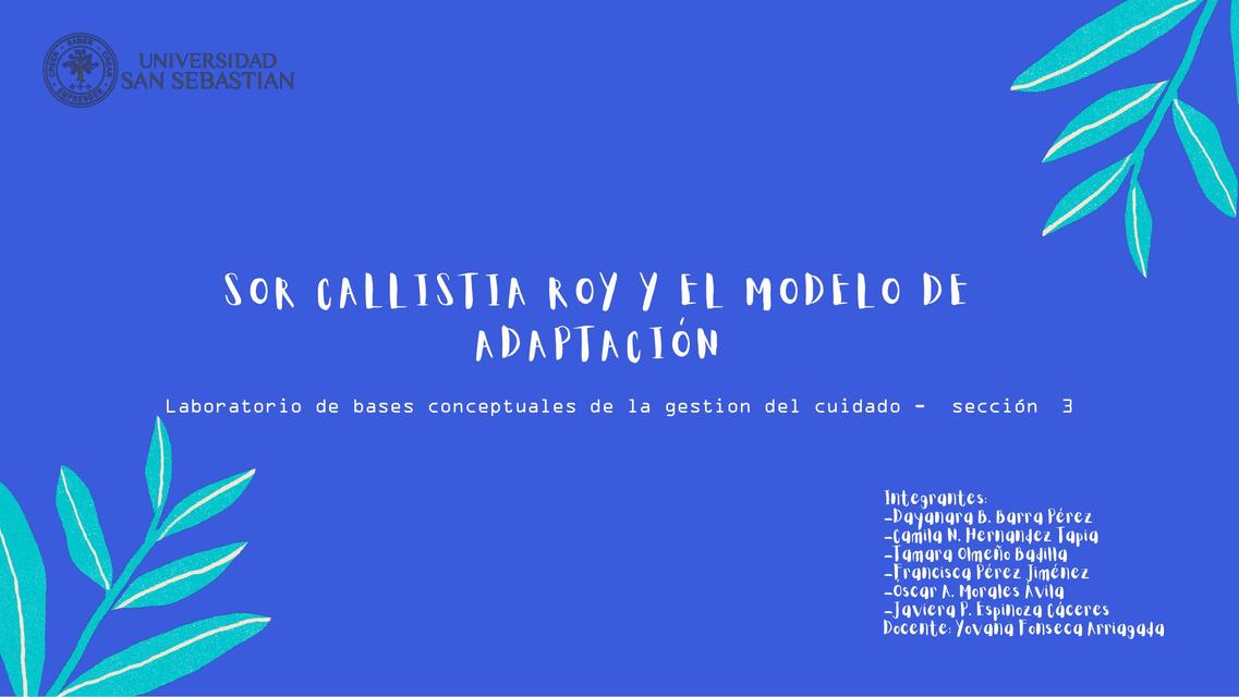 Sor Callista Roy y el Modelo de Adaptación