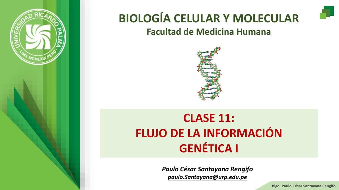 CLASE 11 FLUJO DE LA GENETICA I | Polly lezu | uDocz