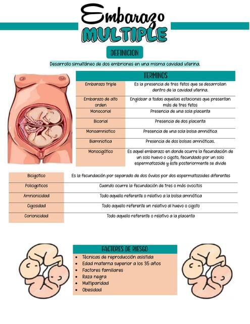 Flashcards de Embarazo multiple | Por Acive B Yosmauri B 🌸 | uDocz