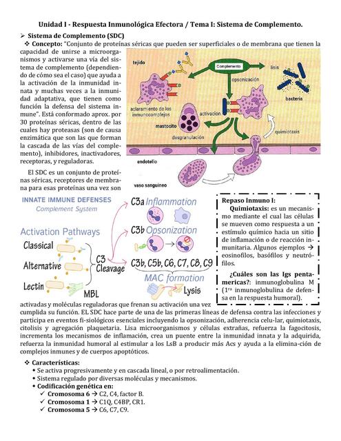 Sistema de Complemento p | Celeste Codutti | uDocz