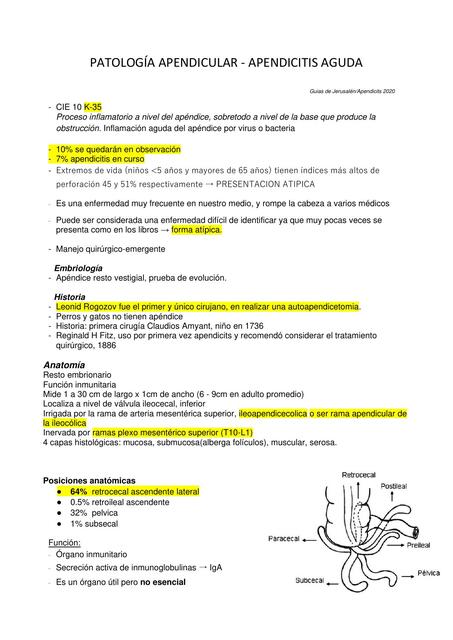 Apendicitis aguda Schwartz | Christian Pesantez | uDocz