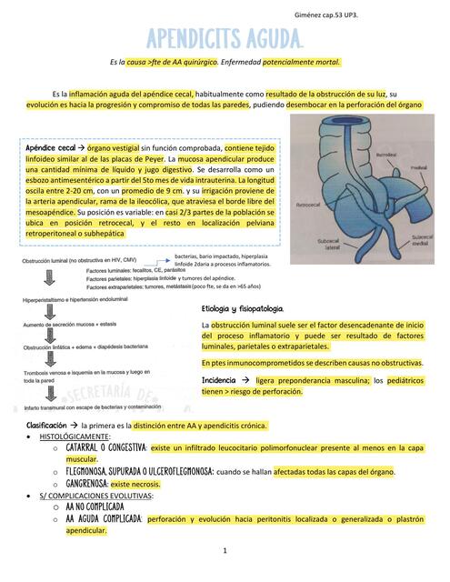 Flashcards de APENDICITS AGUDA - gimenez | Por Milagros Polo | uDocz
