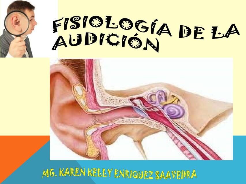 FISIOLOGÍA DE LA AUDICICIÓN | YERALDINE MEDALID | uDocz