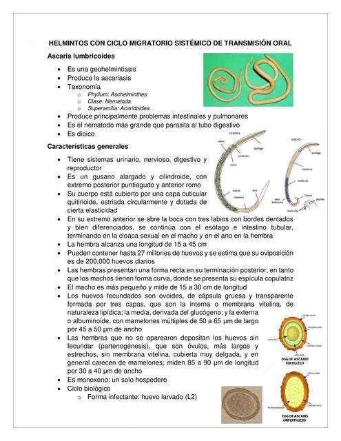 HELMINTOS CON CICLO MIGRATORIO SISTÉMICO DE TRAN | BLANCA CAROLINA ...