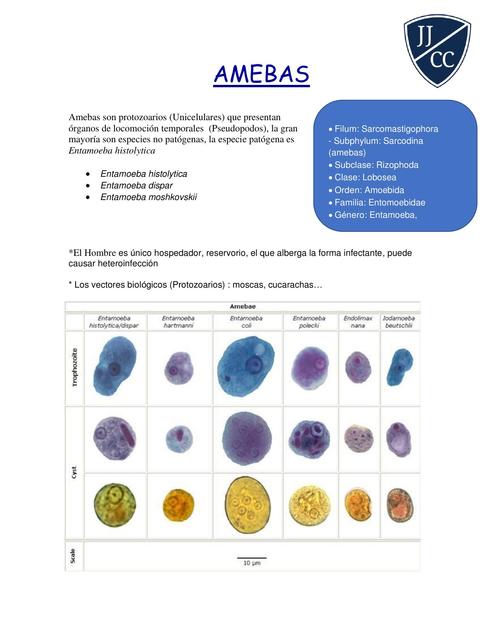 AMEBAS (1) CLINICA MEDICA | This_is_Medicine! | uDocz