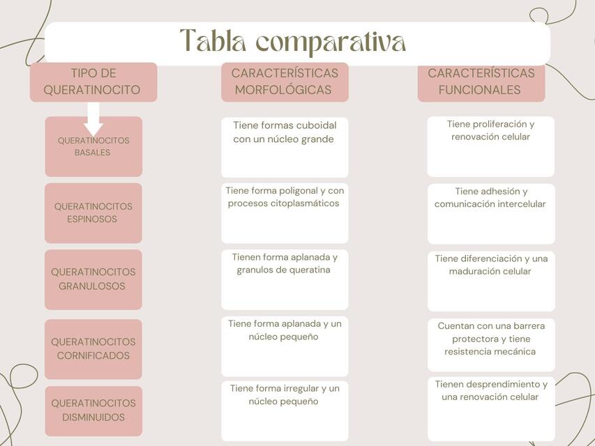 Gráfico Tabla Comparativa Elegante Minimalista Ros | Ali | uDocz