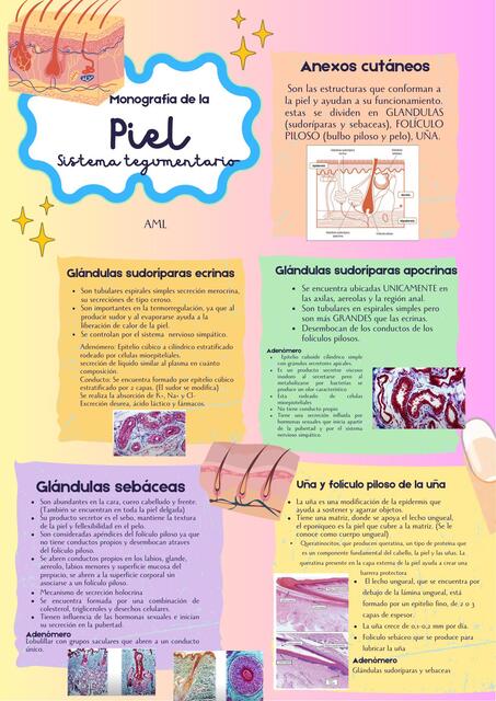 Monografía Piel alinka | Ali | uDocz