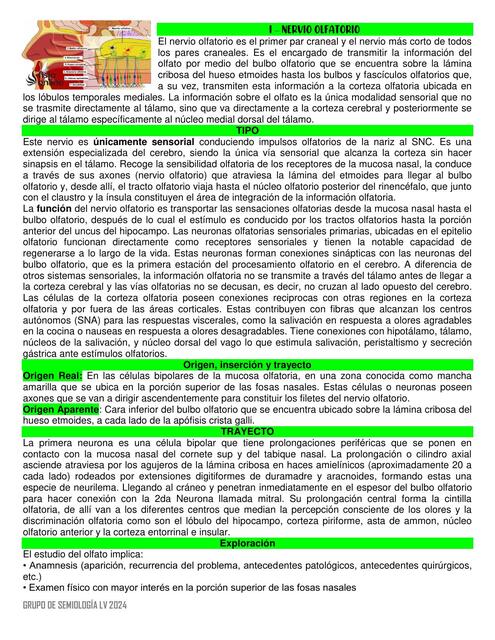 RESUMEN PARES CRANEALES SEMIO LV | Acosta | uDocz