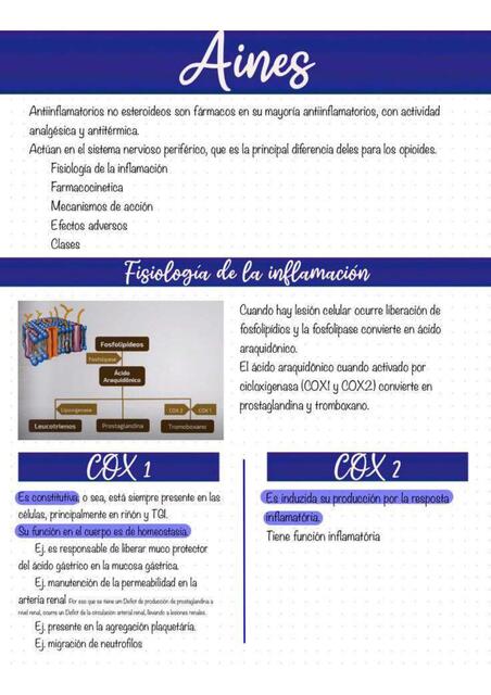 Aines | Maribel | uDocz