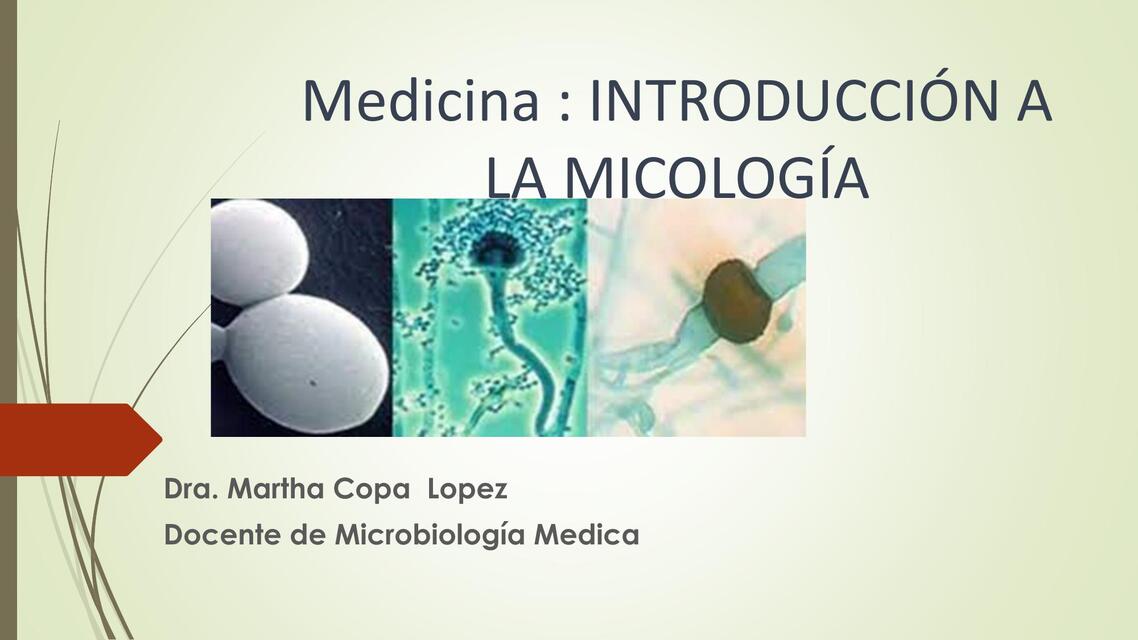 Introducción a la micología | César | uDocz