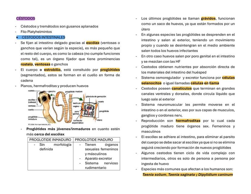 CÉSTODOS BOTERO | Jessica Samantha Prieto Cabrera | uDocz