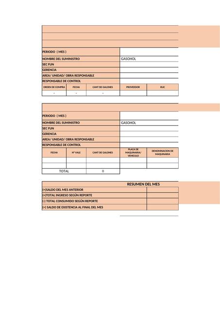 FORMATO DE BIENES FISCALIZADOS PARA AREA USUARIA | Michael Leiva | uDocz