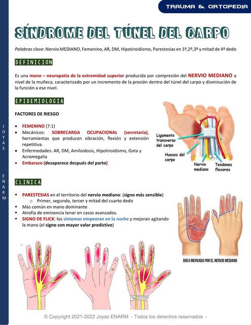 3 Síndrome del Túnel del Carpo | Marco Flores | uDocz
