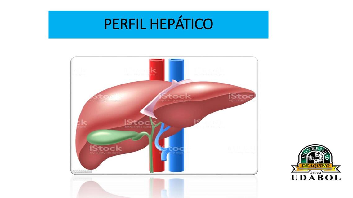 Perfil Hepatico | MARIA ANTONIETA AYAVIRI LEON | uDocz