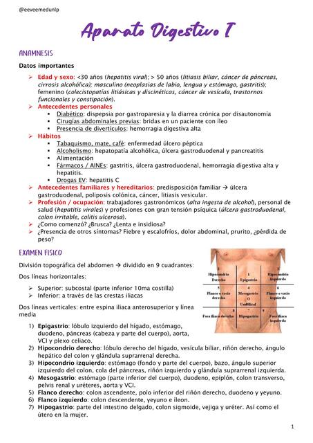 Abdomen I | julia | uDocz