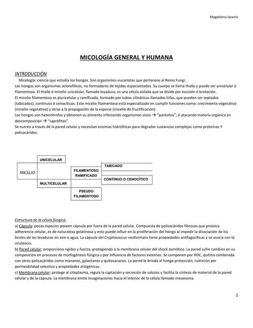 Micología general y humana | julia | uDocz