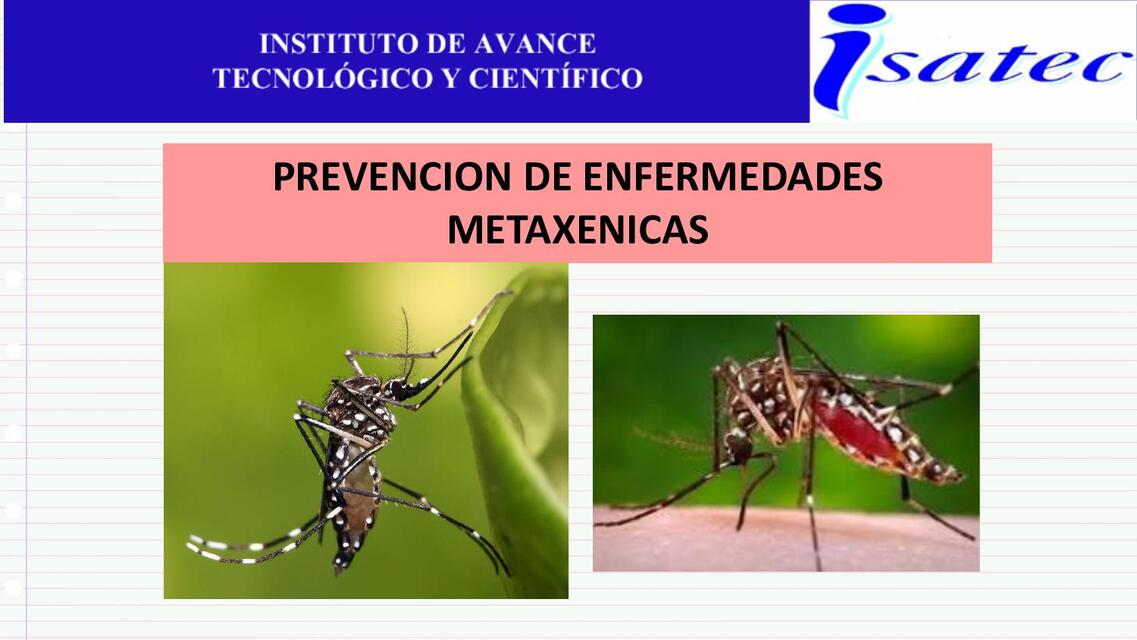 Semana 10 y 11 | Rosmary Carmen | uDocz