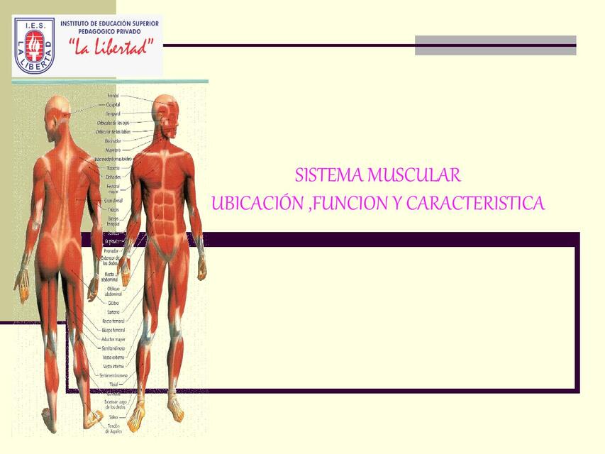 todos los KKKJ | ELIANA RODRIGUEZ | uDocz