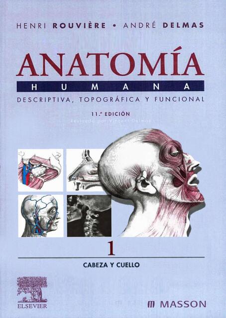 ROUVIERE Anatomia 11va Ed T1 | Daniela Flores | uDocz