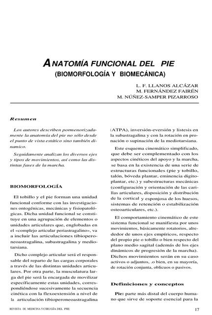 Anatomia funcional del pie | sofia | uDocz Anatomia funcional del pie | sofia | uDocz