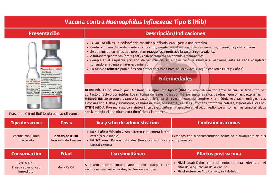 Vacuna contra Haemophilus Influenzae Tipo B (Hib) | Piero | uDocz
