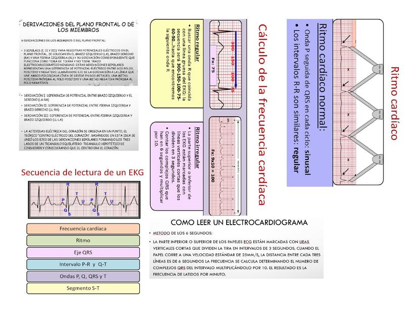 enfermeria | yos | uDocz