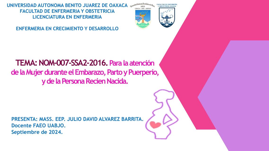 NOM 007 SSA2 UABJO | Juan Manuel | uDocz