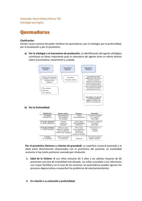 Investigación sobre Quemaduras | Núñez Olvera Alexander Mario | uDocz