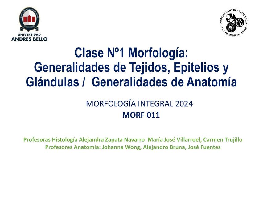 CLASE 1 MORF011 | sofia | uDocz