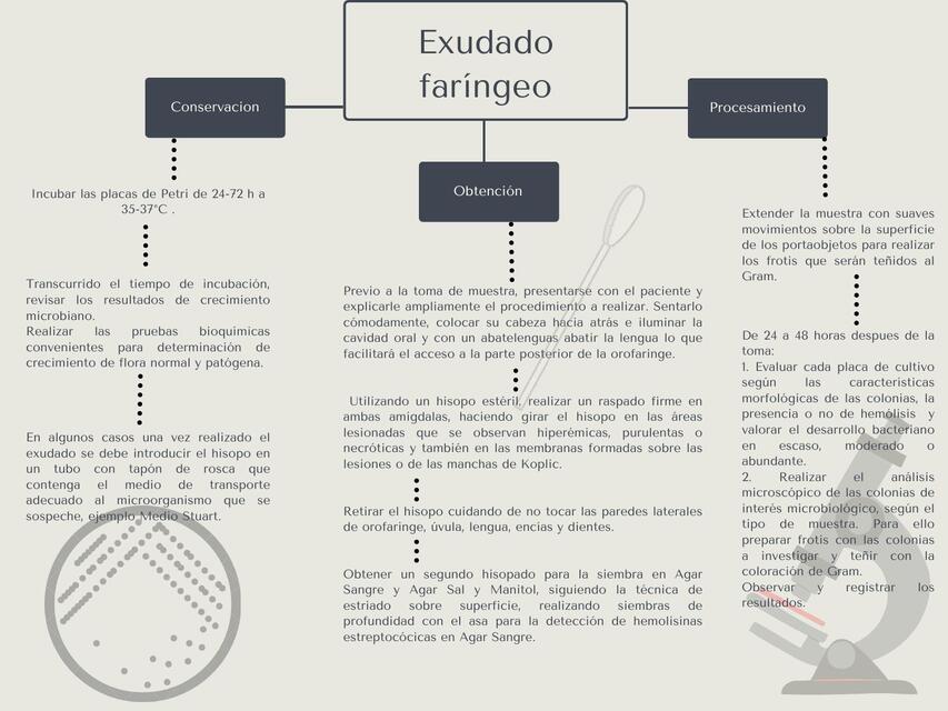 Exudado faríngeo | Ulises | uDocz