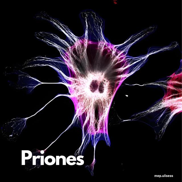 Enfermedades por Priones | Ulises | uDocz