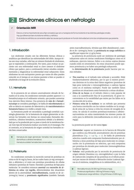 NEFRO 2 | CANVAS UTILITARIOS | uDocz