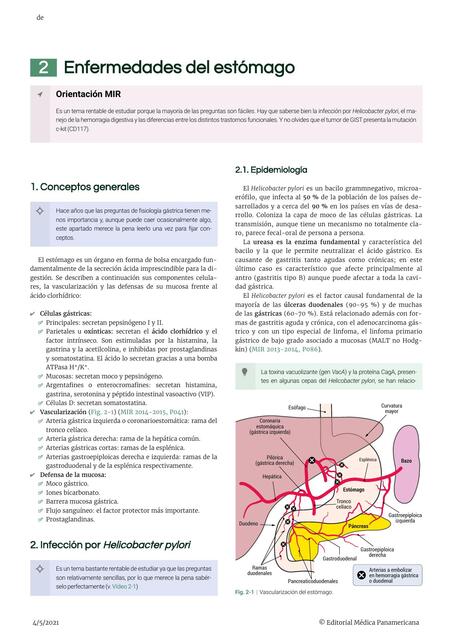 GASTRO 2 | CANVAS UTILITARIOS | uDocz
