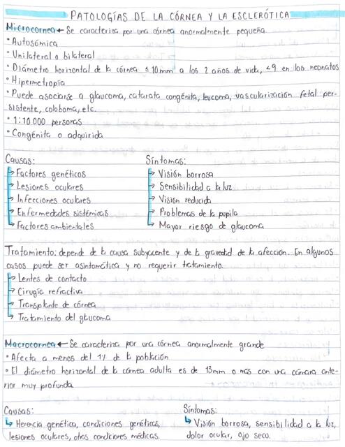 Patologías de la córnea y la esclerótica | Wendy Laura | uDocz